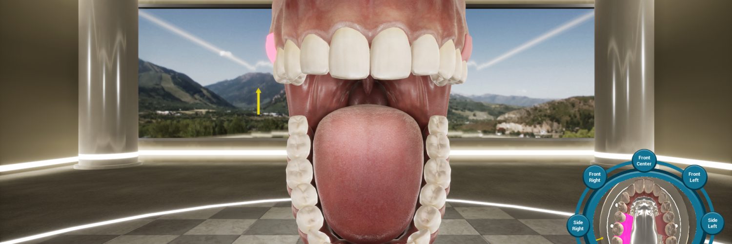 Dental Prosthesis Simulator - Media and Learning